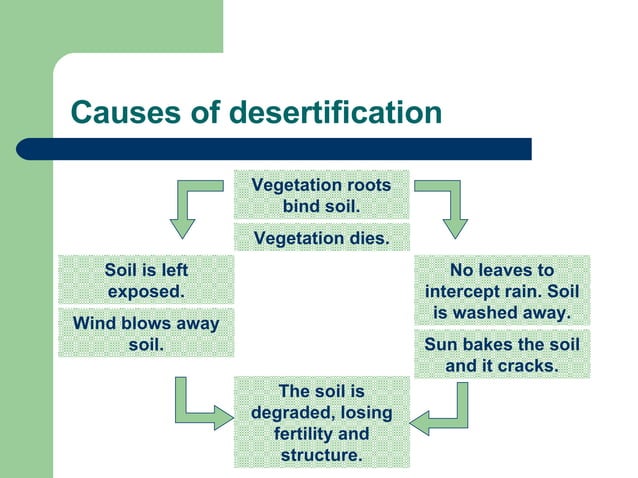 Desertification | PPT | Agriculture | Industries