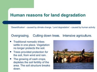 Desertification | PPT