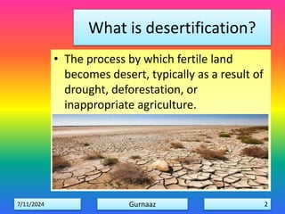 Desertification-A Project by Gurnaaz.pptx