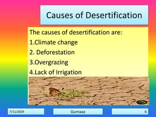 Desertification-A Project by Gurnaaz.pptx