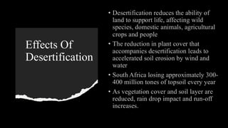 "Desertification: Causes, Impacts, and Solutions | Geography ...
