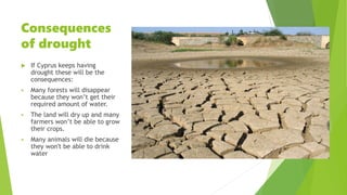 Desertification in Cyprus | PPTX