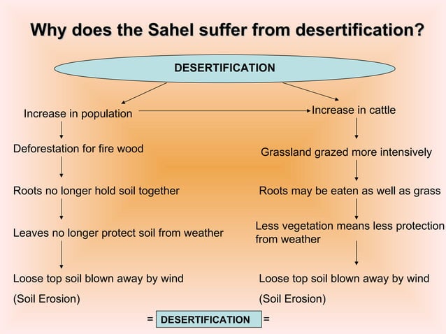 Desertification In The Sahel | PPT