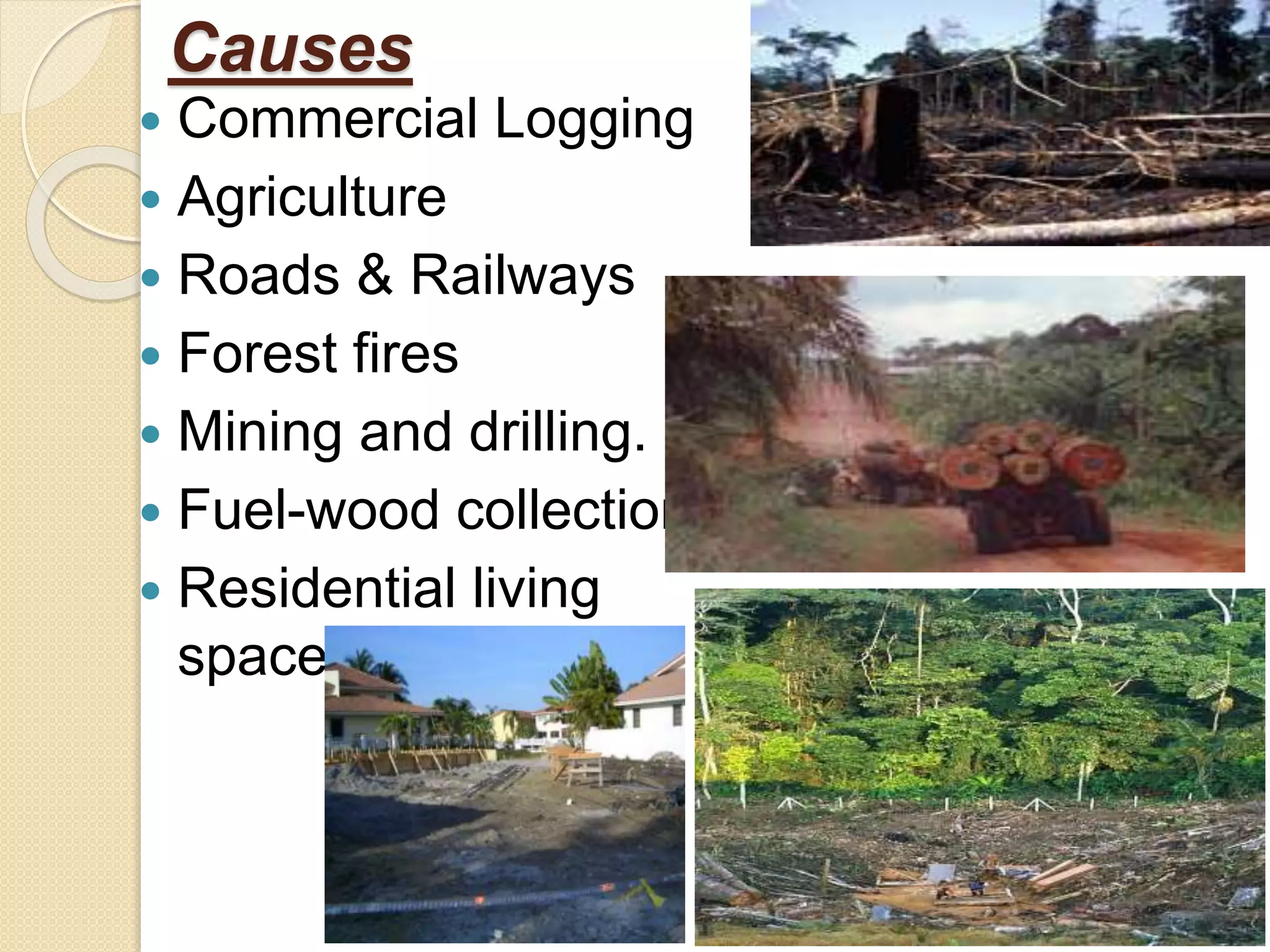 DESERTIFICATION lect-8.pptx