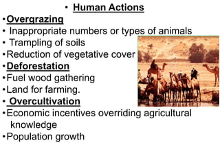 DESERTIFICATION lect-8.pptx
