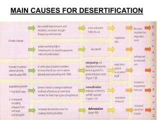 DESERTIFICATION lect-8.pptx
