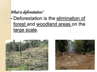DESERTIFICATION lect-8.pptx