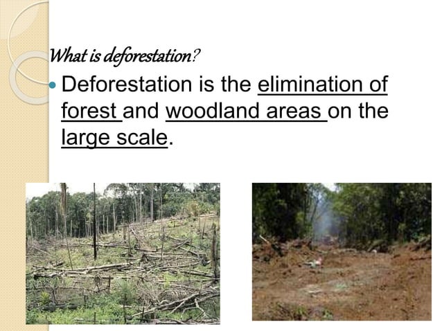 DESERTIFICATION lect-8.pptx | Free Download