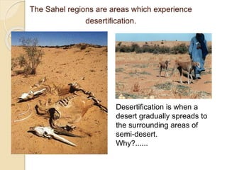 DESERTIFICATION lect-8.pptx