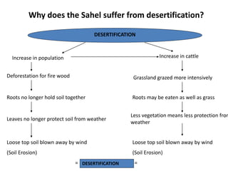DESERTIFICATION lect-8.pptx