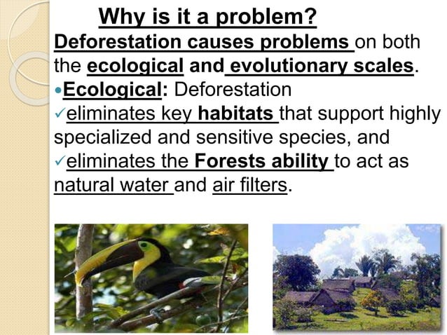 DESERTIFICATION lect-8.pptx