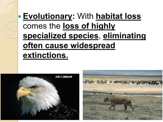 DESERTIFICATION lect-8.pptx