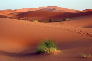 Desert Landscapes | PPTX