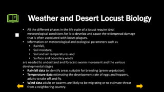 Desert Locust.pptx