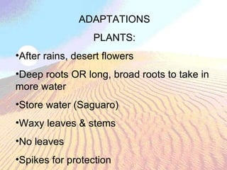 Desert notes Notes on world's deserts & organisms' adaptations to ...