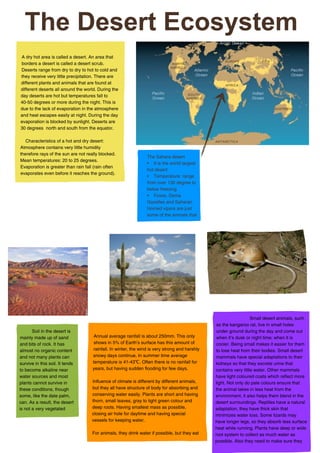 Desert Biome Poster