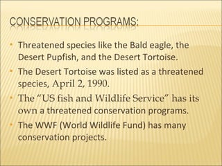 Desert ecosystem | PPT