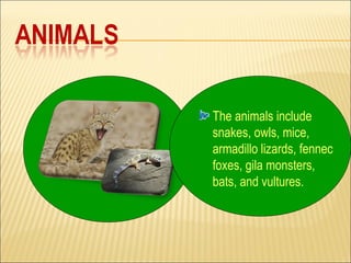 Desert ecosystem | PPT