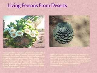 Desert presentation | PPT