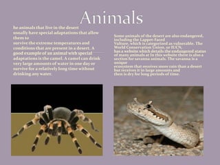 Desert presentation | PDF