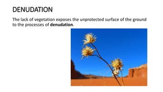 GEOGRAPHY YEAR 9 - DESERTS | PPT