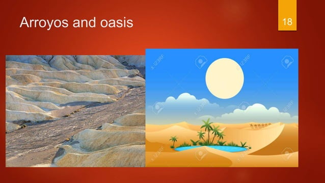 Deserts ecosystem | PPTX | Environment | Science