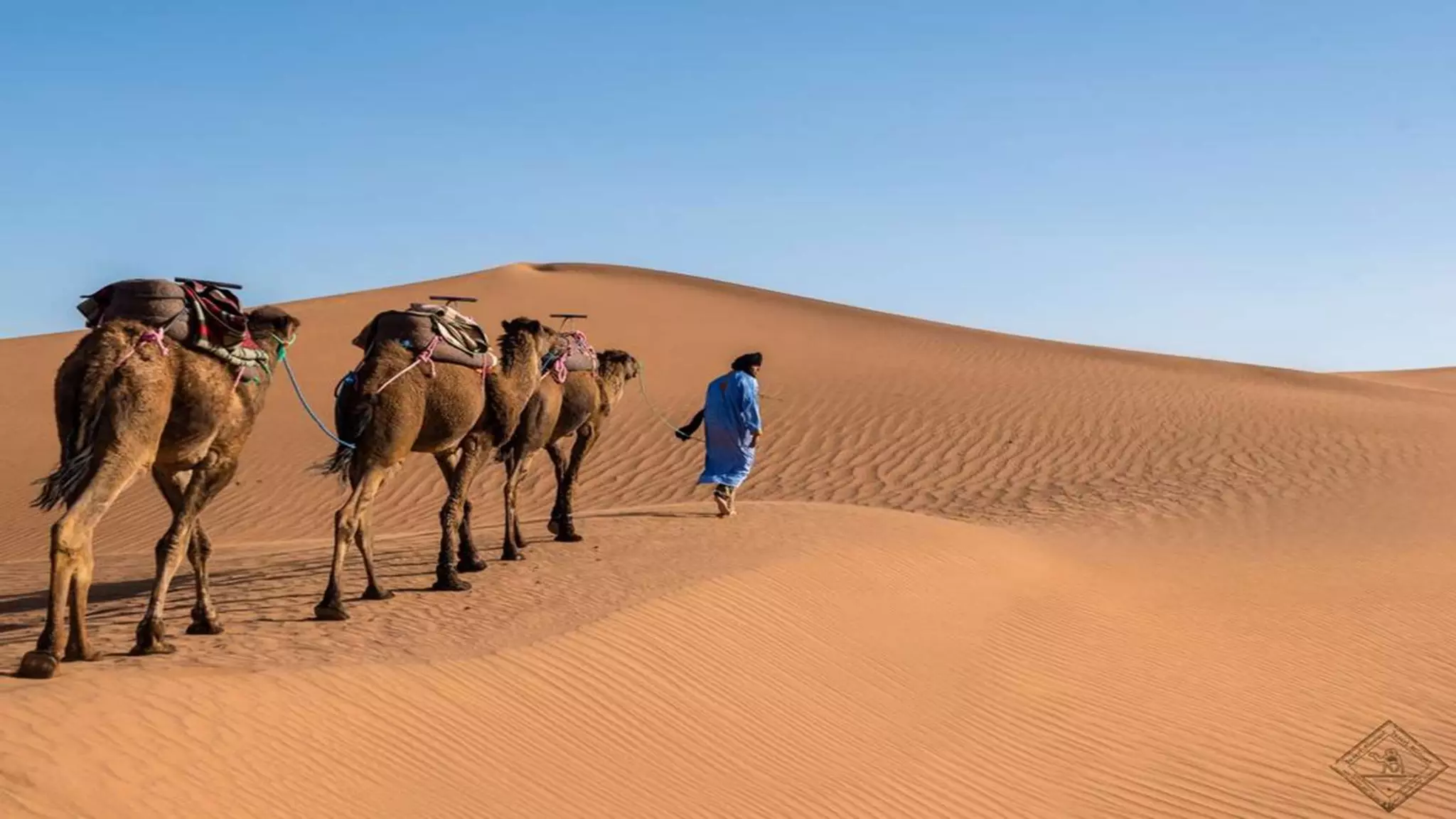 Deserts definition and explaination | PPT