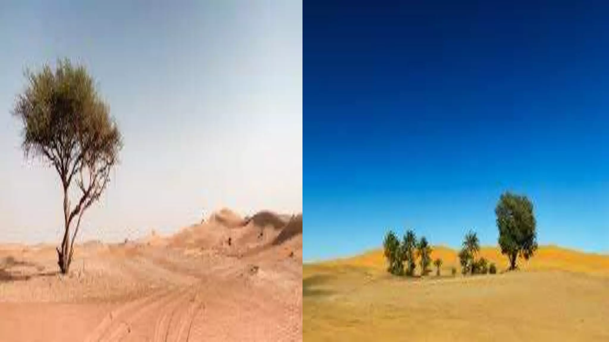 Deserts definition and explaination | PPT