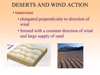deserts-wind.ppt