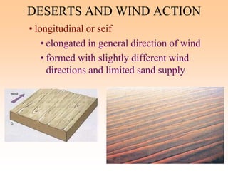 deserts-wind.ppt