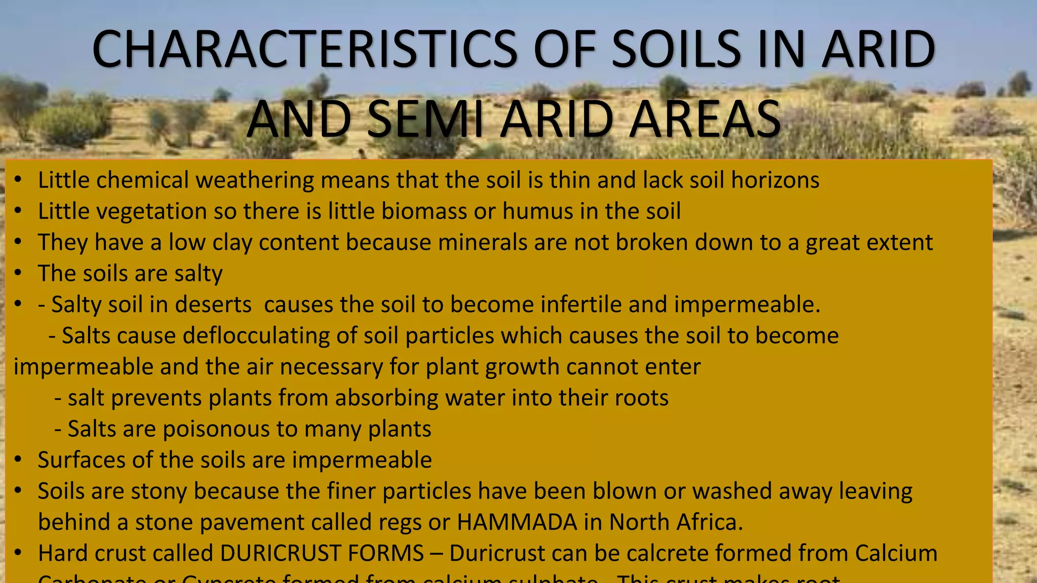 A2 Physical Geography - Hot arid and Semi Arid Environment | PPTX