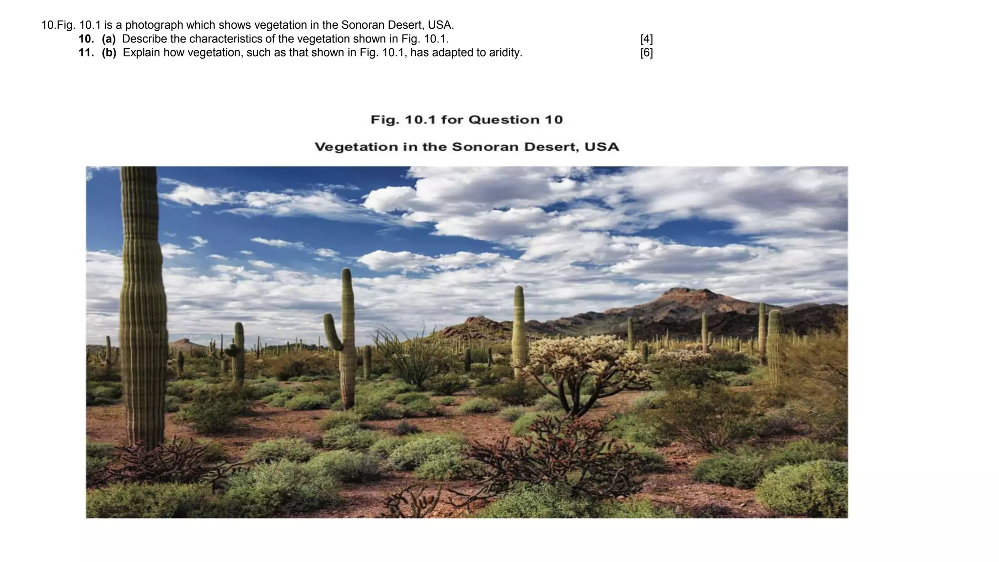 A2 Physical Geography - Hot arid and Semi Arid Environment | PPTX