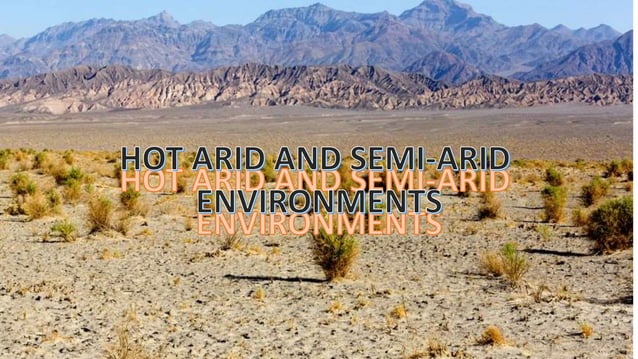 A2 Physical Geography - Hot arid and Semi Arid Environment | PPTX ...