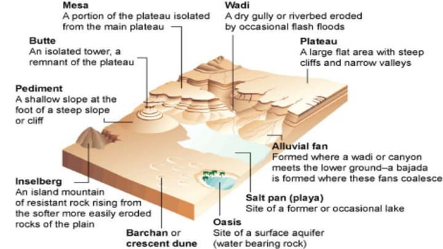 A2 Physical Geography - Hot arid and Semi Arid Environment | PPTX ...