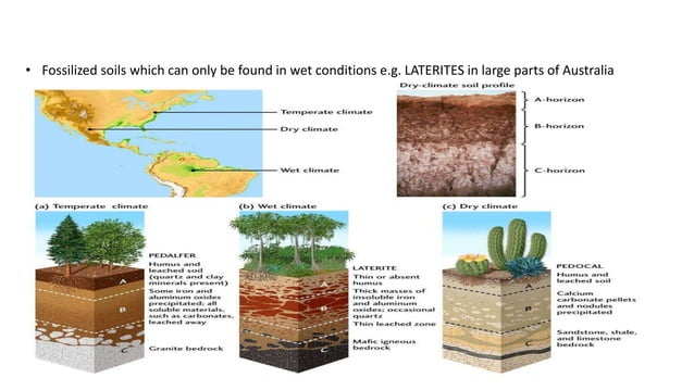 A2 Physical Geography - Hot arid and Semi Arid Environment | PPTX ...