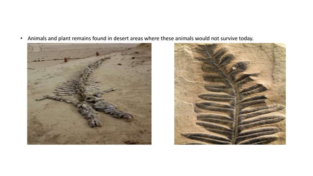 A2 Physical Geography - Hot arid and Semi Arid Environment | PPTX ...