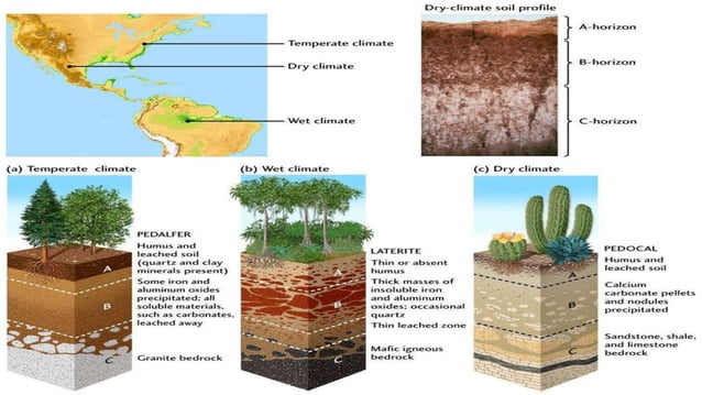 A2 Physical Geography - Hot arid and Semi Arid Environment | PPTX ...