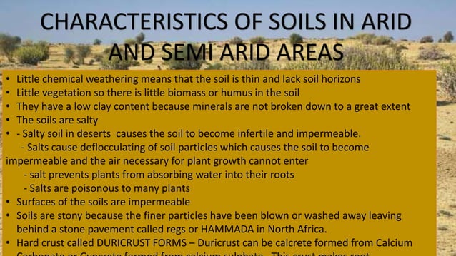 A2 Physical Geography - Hot arid and Semi Arid Environment | PPTX ...