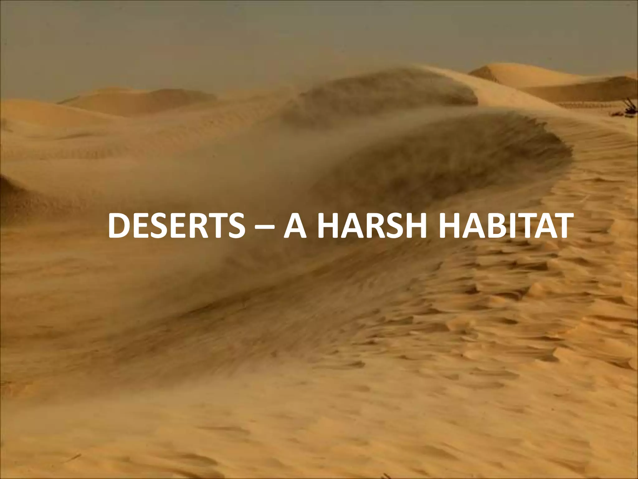 Deserts – a harsh habitat | PPTX | Reptiles | Pets