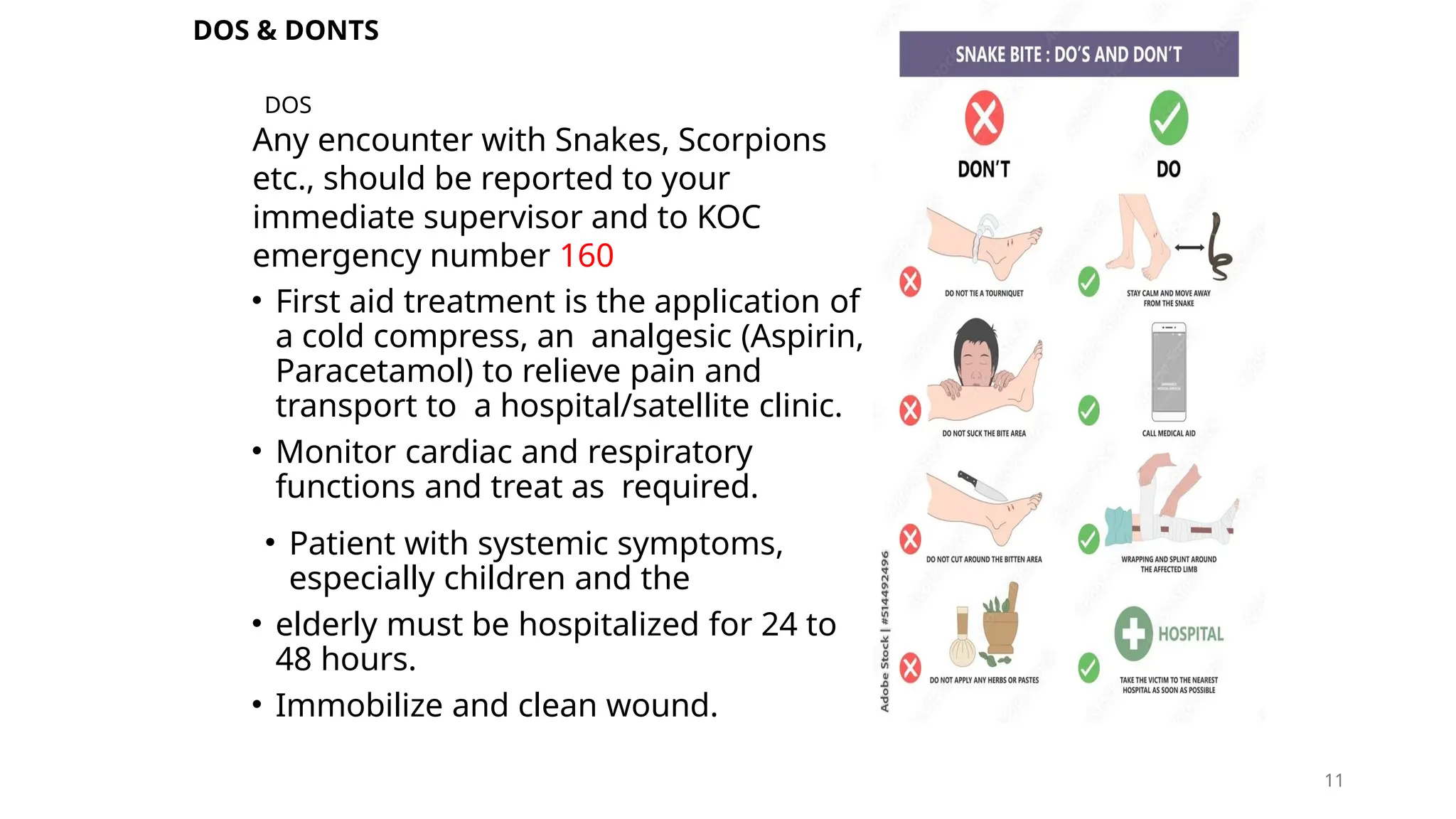DESERT SNAKE SCORPION AWARENESS.pptx hse | PPTX