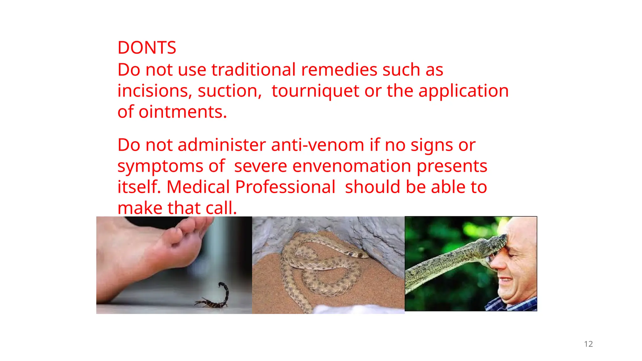DESERT SNAKE SCORPION AWARENESS.pptx hse | PPTX