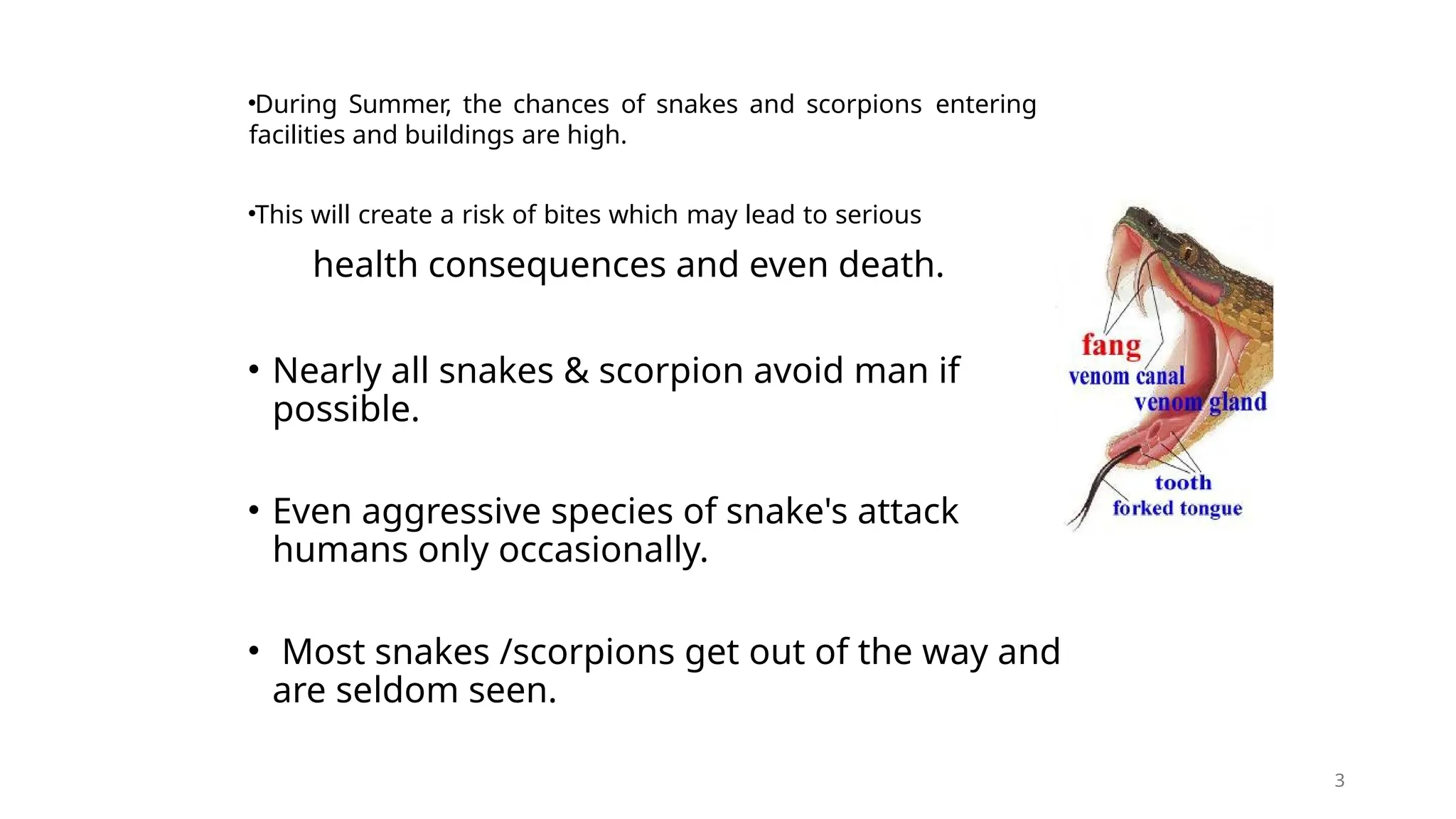 DESERT SNAKE SCORPION AWARENESS.pptx hse | PPTX