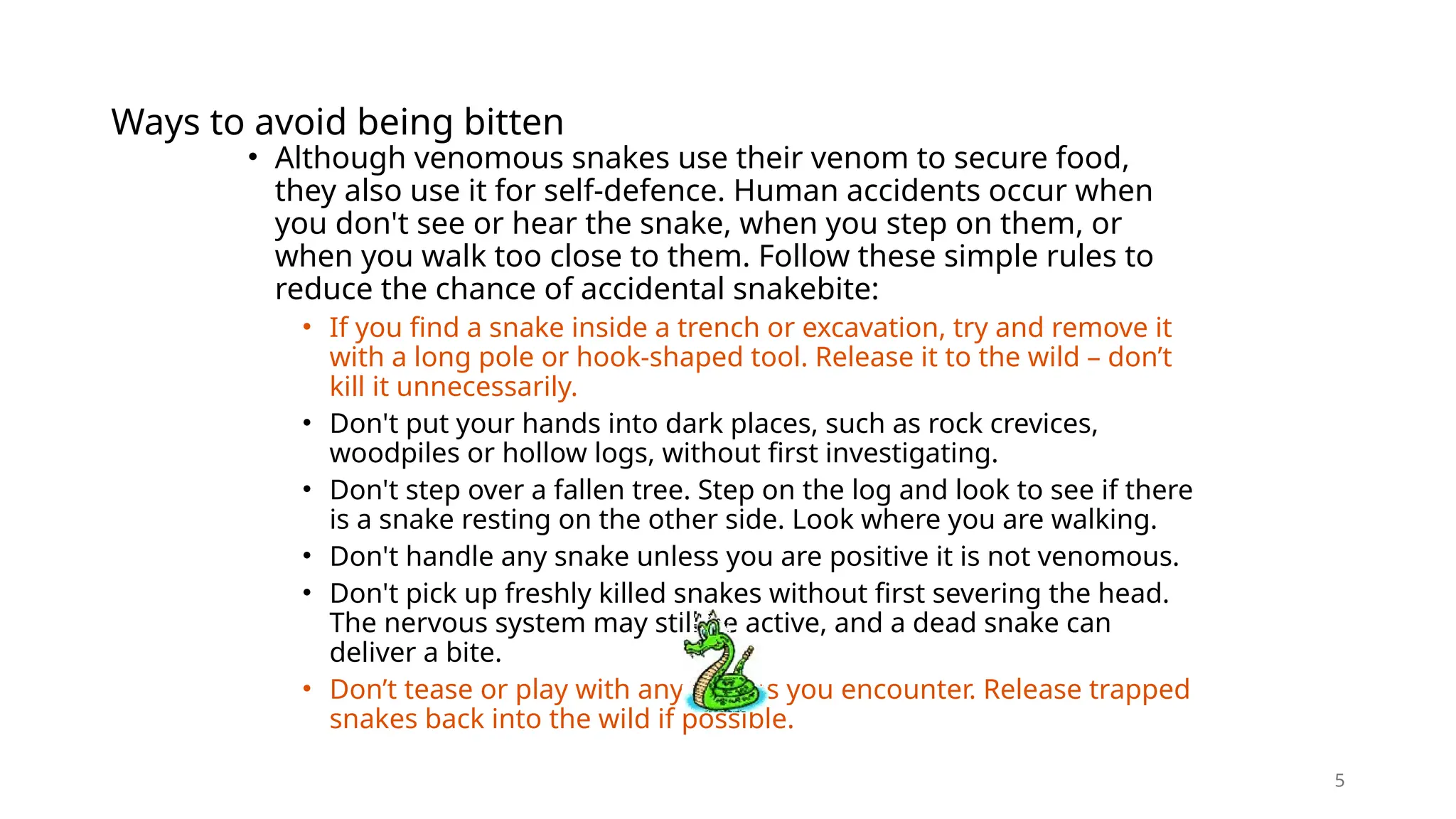DESERT SNAKE SCORPION AWARENESS.pptx hse | PPTX