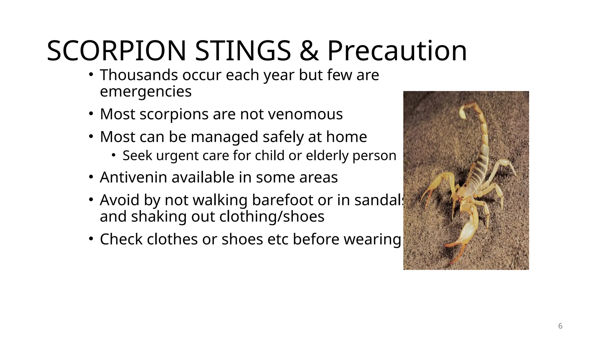 DESERT SNAKE SCORPION AWARENESS.pptx hse | PPTX