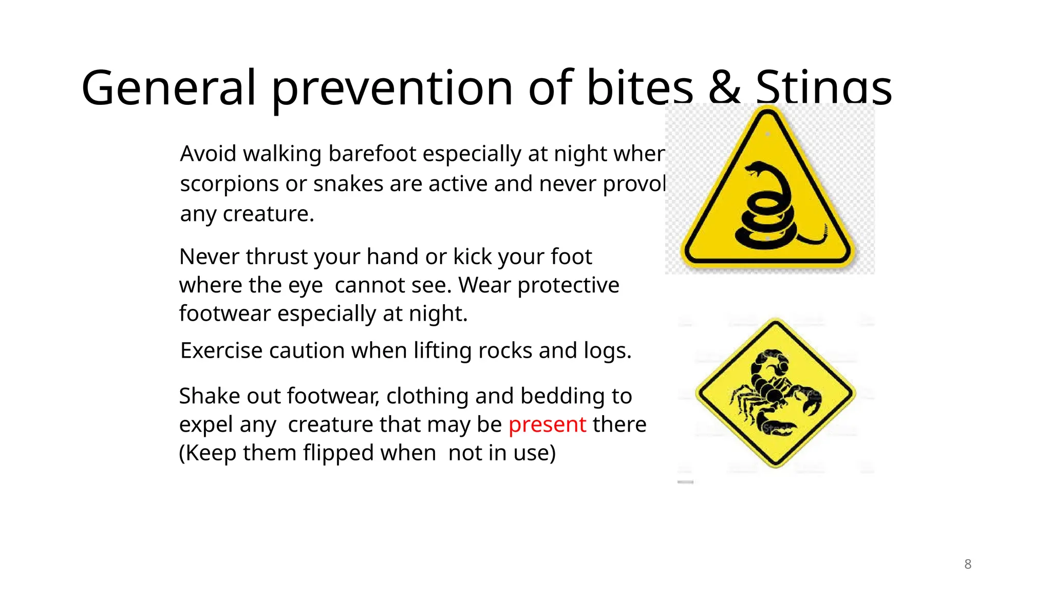 DESERT SNAKE SCORPION AWARENESS.pptx hse | PPTX