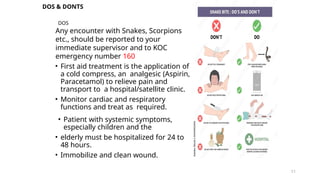 DESERT SNAKE SCORPION AWARENESS.pptx hse | PPTX