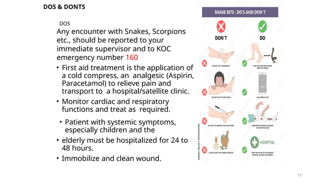 DESERT SNAKE SCORPION AWARENESS.pptx hse | PPTX