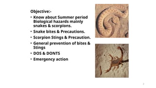 DESERT SNAKE SCORPION AWARENESS.pptx hse | PPTX