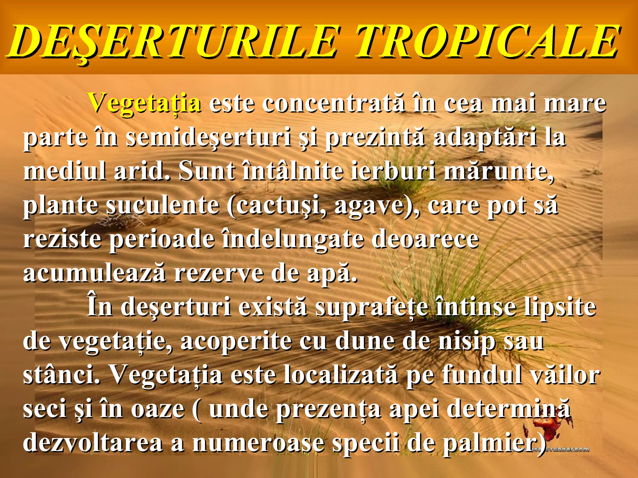 Deserturile tropicale | PPT