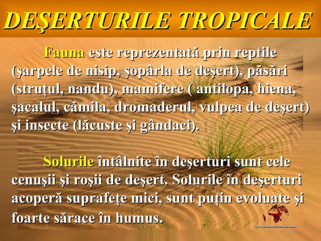 Deserturile tropicale | PPT